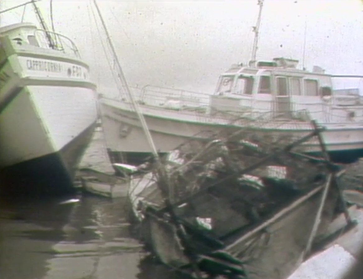 Cyclone Althea c16 11:30am | Townsville City Council
