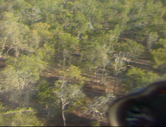 News file: aerial mustering | Townsville City Council